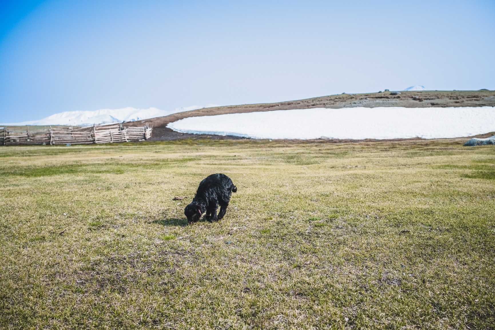 Nội thất cho người mắc chứng Tự Kỷ (Autism Spectrum Disorder) – Jess Thai